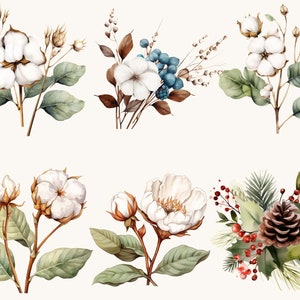 Watercolor Winter Floral Clipart: Botanical PNG Bundle (digital ...