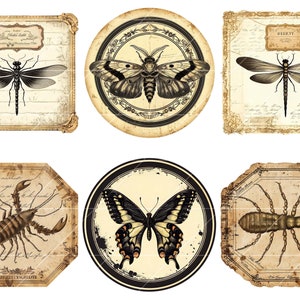 39 Vintage Bugs Ephemera Tag Printable Stickers Digital Prints Png ...