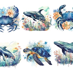Watercolor Underwater Clipart Bundle: Dreamy Sea Life Designs (digital ...