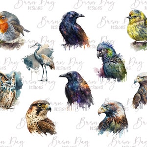 Watercolor Birds Clipart Bundle: 20 PNG Graphics (digital Download) - Etsy