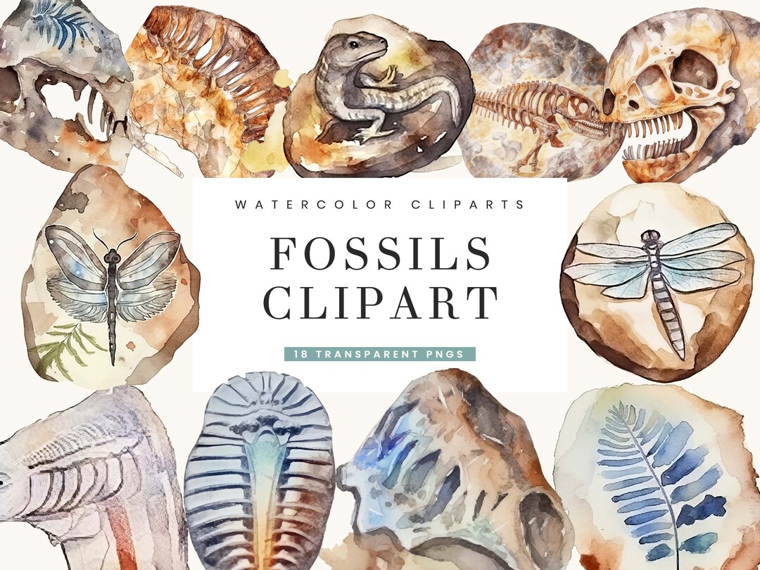 18 Watercolor Fossils Clipart Bundle Sublimation Designs, Printable Art ...