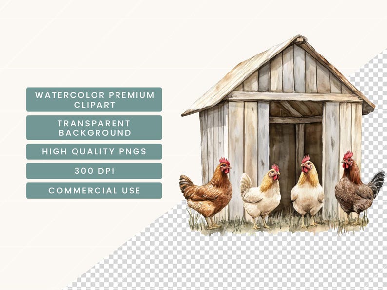 Watercolor Chicken Farm Clipart Bundle, PNG Files (digital Download) - Etsy