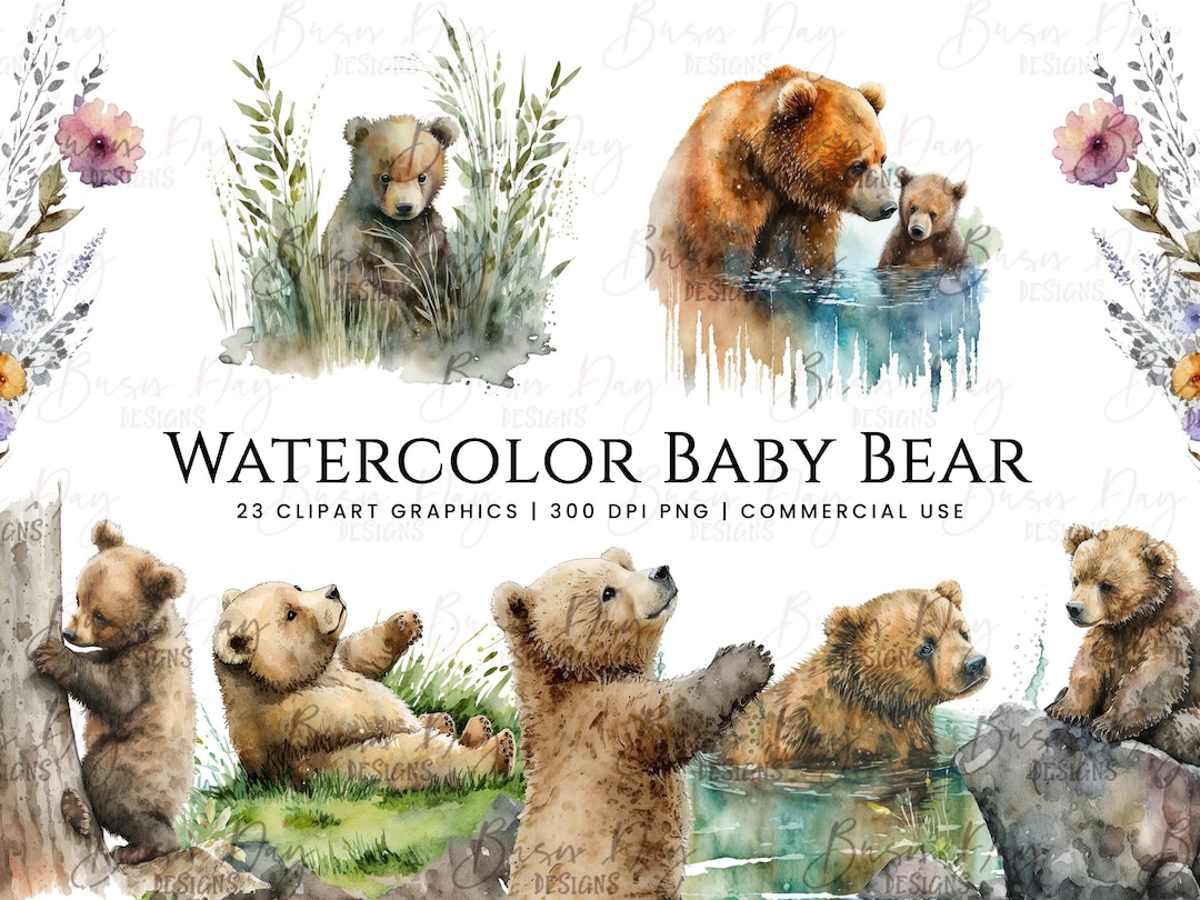 Watercolor Baby Bear Clipart Watercolor Clipart Digital - Etsy