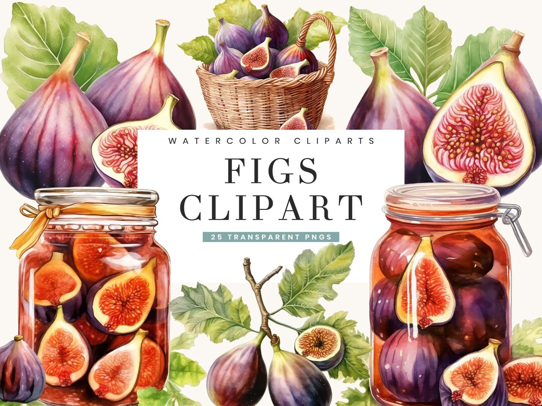Watercolor Figs Clipart Bundle: 25 PNG Sublimation Designs (digital ...