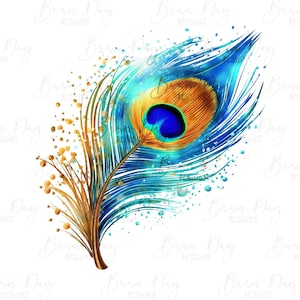 Watercolor Peacock Feather Clipart Bundle (digital Download) - Etsy