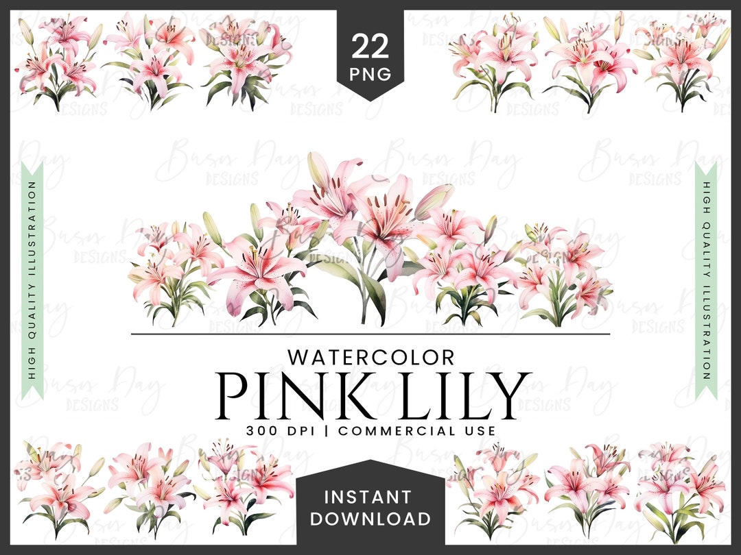Watercolor Pink Lily Clipart Bundle Instant Download - Etsy Australia