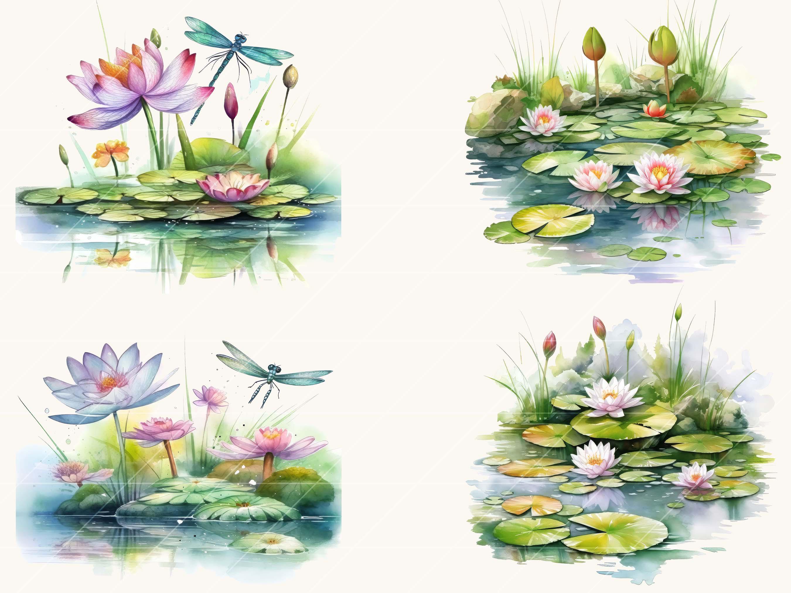 Watercolor Lily Pond Clipart: 25 PNG Files (digital Download) - Etsy