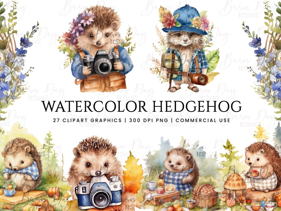 Watercolor Hedgehog Clipart Bundle Watercolor Clipart - Etsy