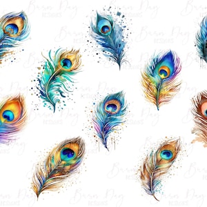 Watercolor Peacock Feather Clipart Bundle (digital Download) - Etsy