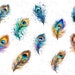 Watercolor Peacock Feather Clipart Bundle (digital Download) - Etsy