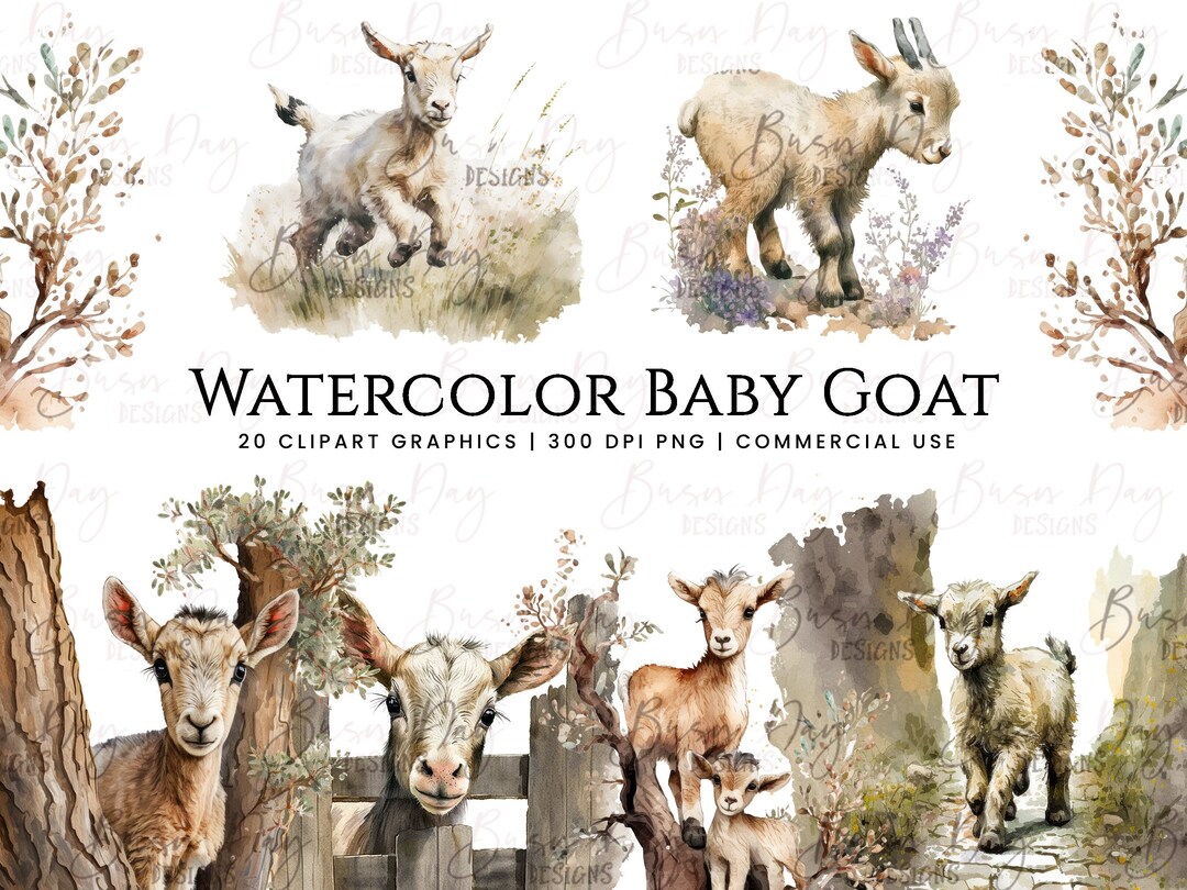 Watercolor Baby Goat Clipart , Watercolor Clipart, Digital Download ...