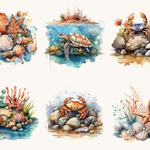 Watercolor Tidepool Clipart Bundle: Seascape Sublimation Designs ...