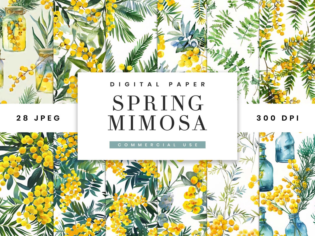 28 Watercolor Spring Mimosa Seamless Pattern Digital Paper Pack Junk ...