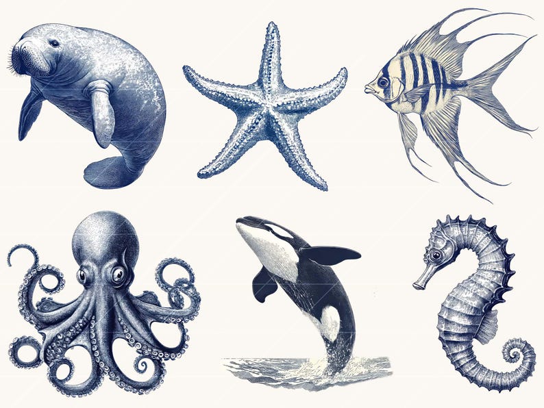 Vintage Ocean Clipart Bundle: Watercolor Sea Animals, Ships (digital ...