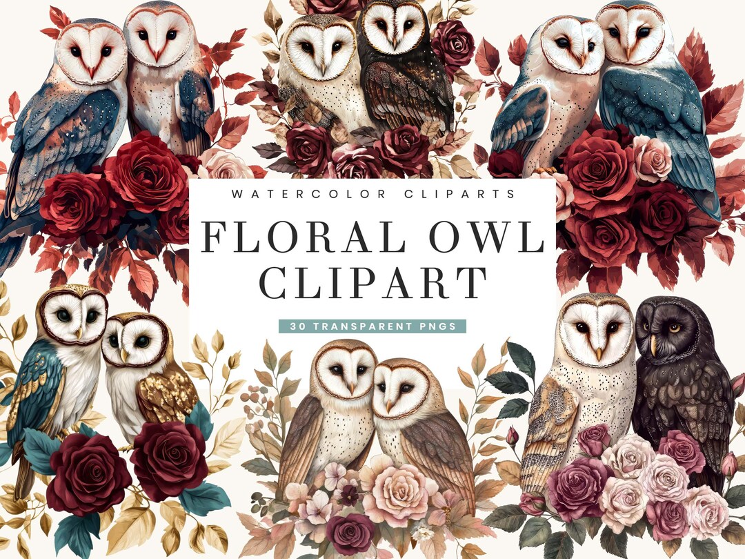 Floral Owl Clipart Bundle, Watercolor PNG Files (digital) - Etsy