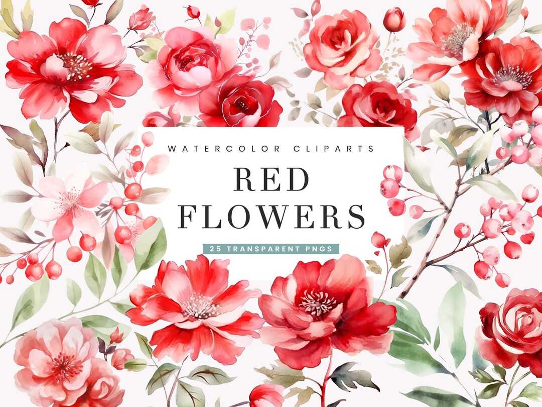 Watercolor Red Flowers Clipart Bundle: 25 PNG Designs (digital Download ...