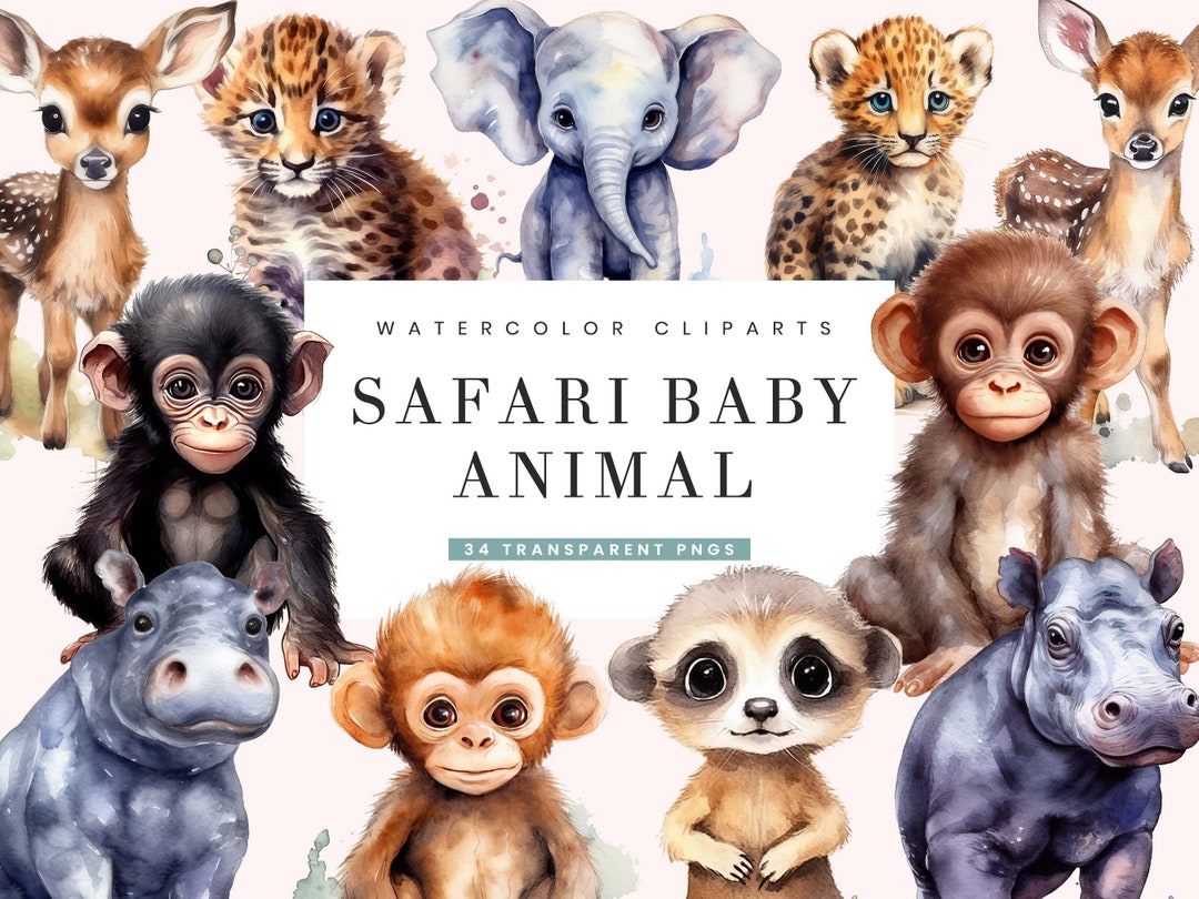 Watercolor Safari Baby Animals Clipart: 34 PNG Designs (instant ...