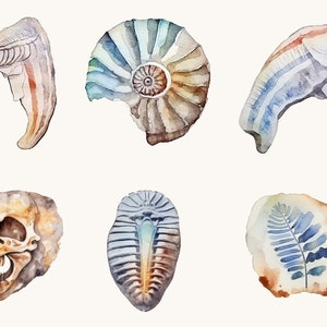 18 Watercolor Fossils Clipart Bundle Sublimation Designs, Printable Art ...