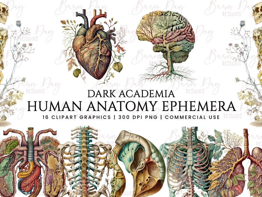 Watercolor Human Anatomy Clipart: Ephemera Bundle (digital Download) - Etsy