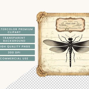 39 Vintage Bugs Ephemera Tag Printable Stickers Digital Prints Png ...