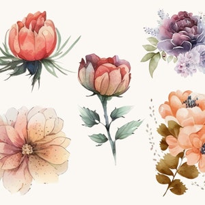 Watercolor Floral Bouquet Clipart: Spring Peony & Rose PNG Bundle - Etsy