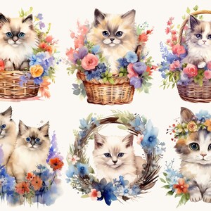 29 Watercolor Ragdoll Cats Clipart Bundle Sublimation Designs, Instant ...
