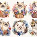 29 Watercolor Ragdoll Cats Clipart Bundle Sublimation Designs, Instant ...