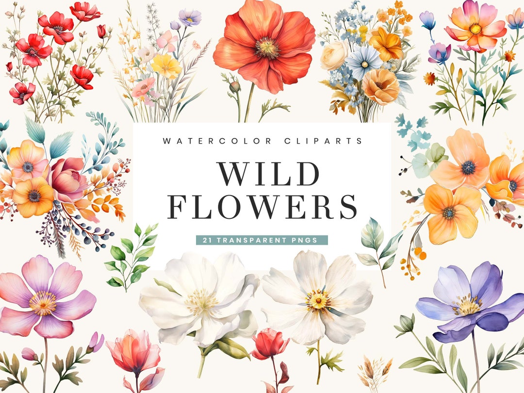 21 Watercolor Wild Flower Clipart Bundle Sublimation Designs Digital ...