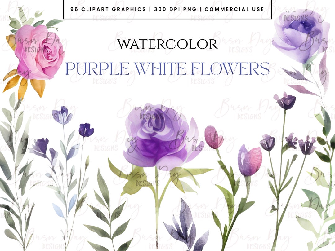 Watercolor Purple White Flowers Clipart Bundle, Commercial Use, Digital ...