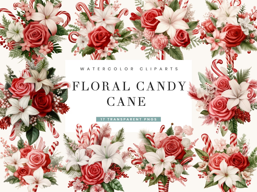 Watercolor Floral Candy Cane Clipart Bundle: Christmas Designs (digital ...
