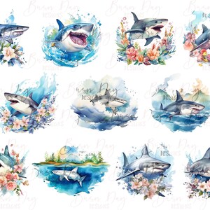 Watercolor Sharks Clipart Bundle, Digital Download, Digital Paper ...