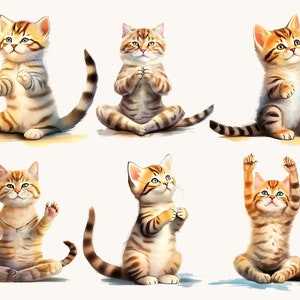 16 Watercolor Cute Yoga Cat Clipart Bundle Sublimation Designs Instant ...