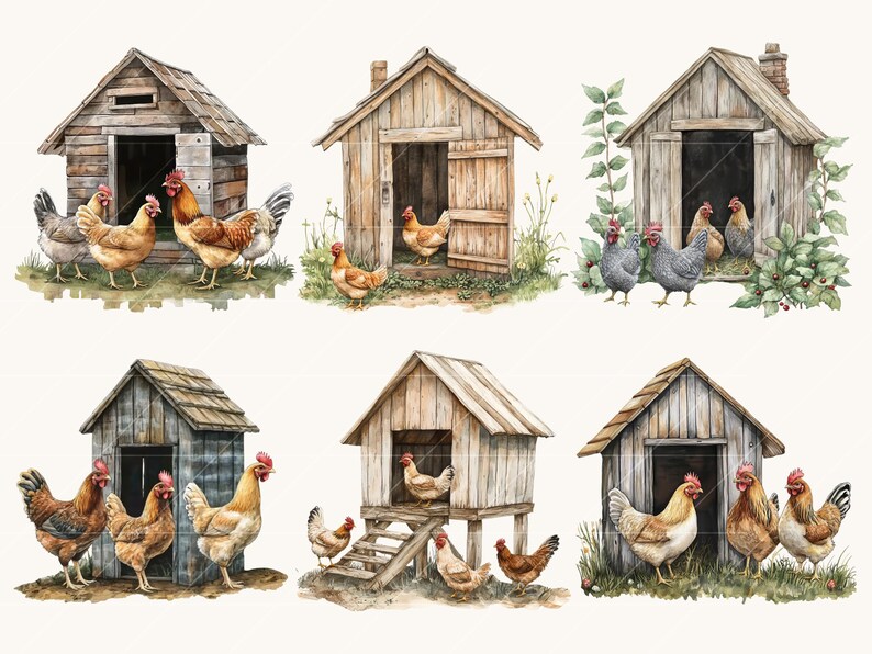 Watercolor Chicken Farm Clipart Bundle, PNG Files (digital Download) - Etsy