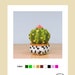 Mini Cactus Plants 3D Perler Bead Pattern Set of 6 Digital Download ...
