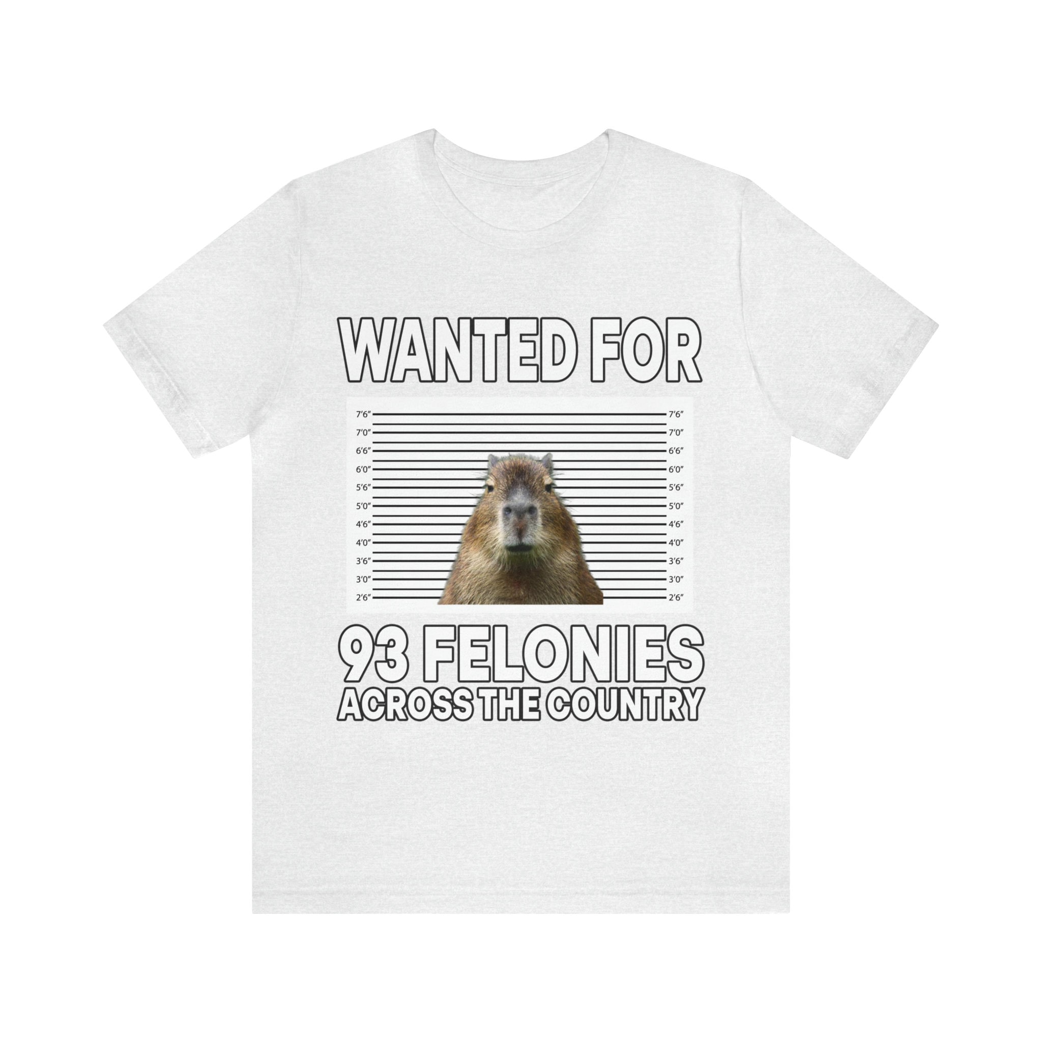 Capybara Mugshot Wanted Poster Meme Shirt Capybara Committing - Etsy