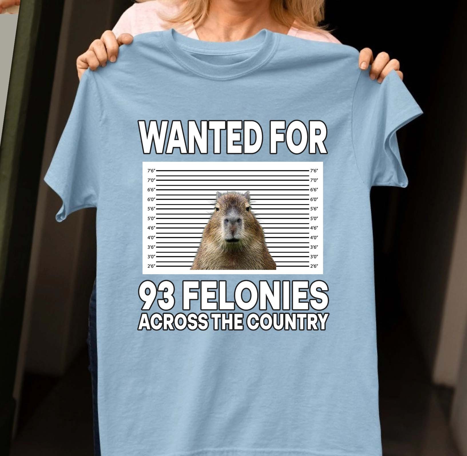 Capybara Mugshot Wanted Poster Meme Shirt Capybara Committing - Etsy