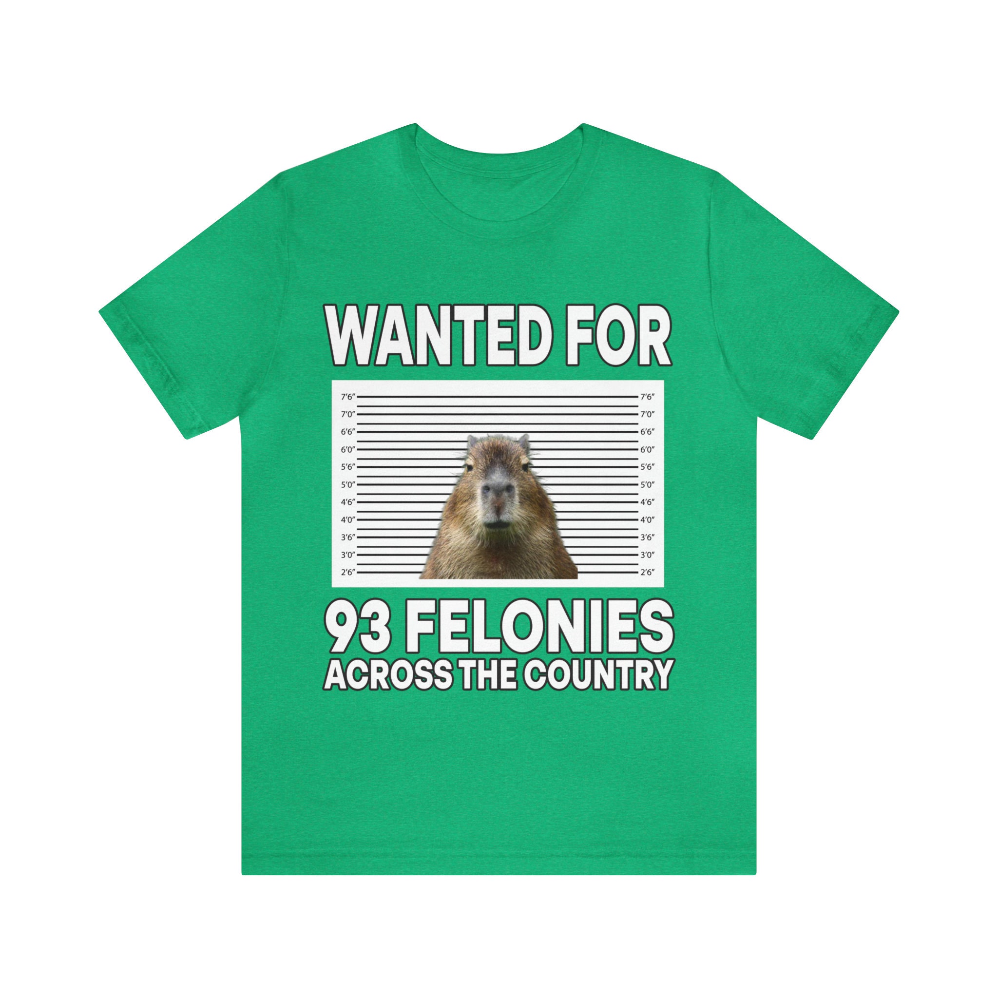 Capybara Mugshot Wanted Poster Meme Shirt Capybara Committing - Etsy