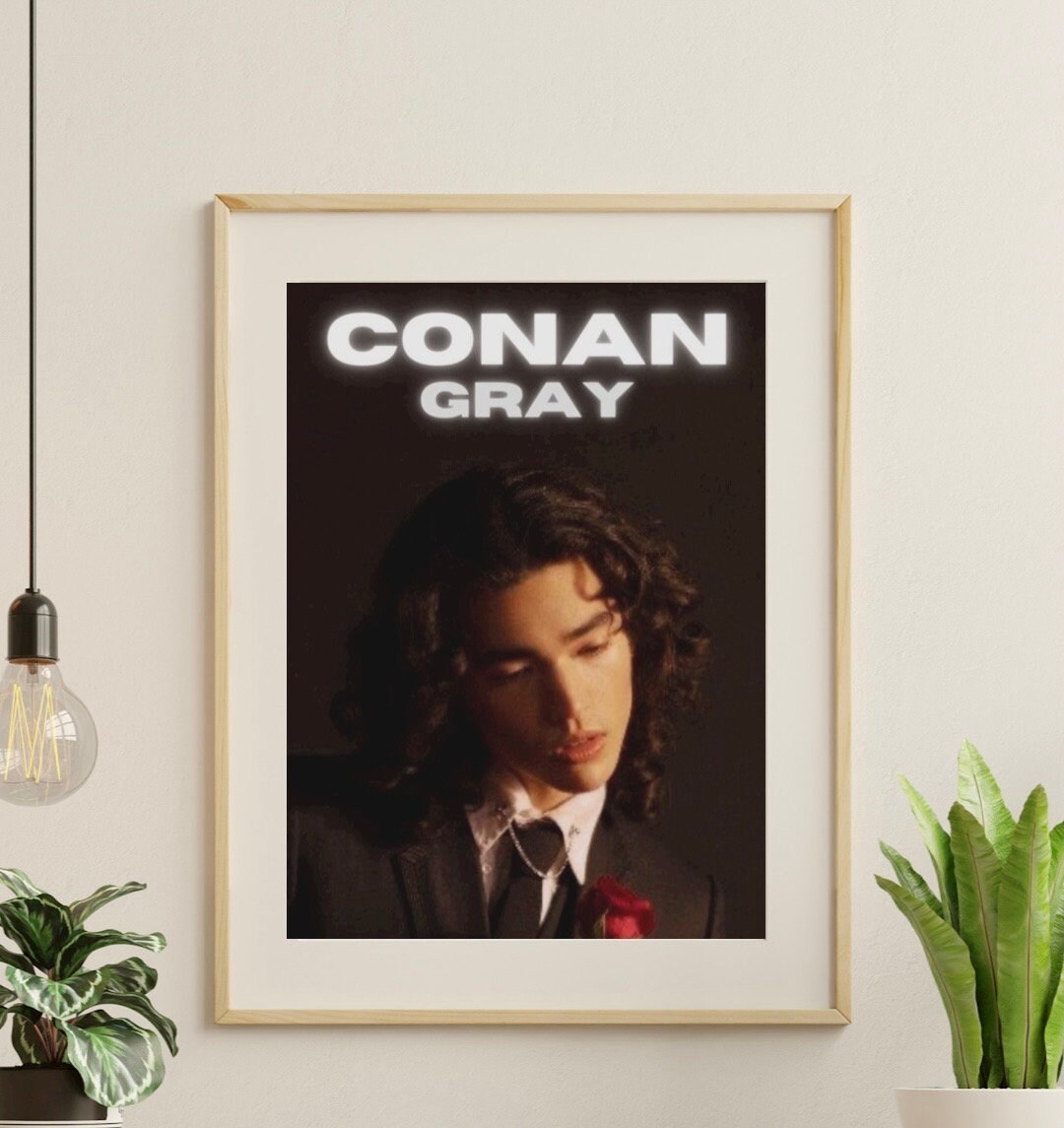 Conan Gray Aesthetic Poster, Vintage Album Cover Poster, Edgy, Skater ...
