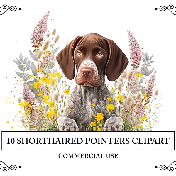German Shorthaired Pointer Wall Art - Etsy