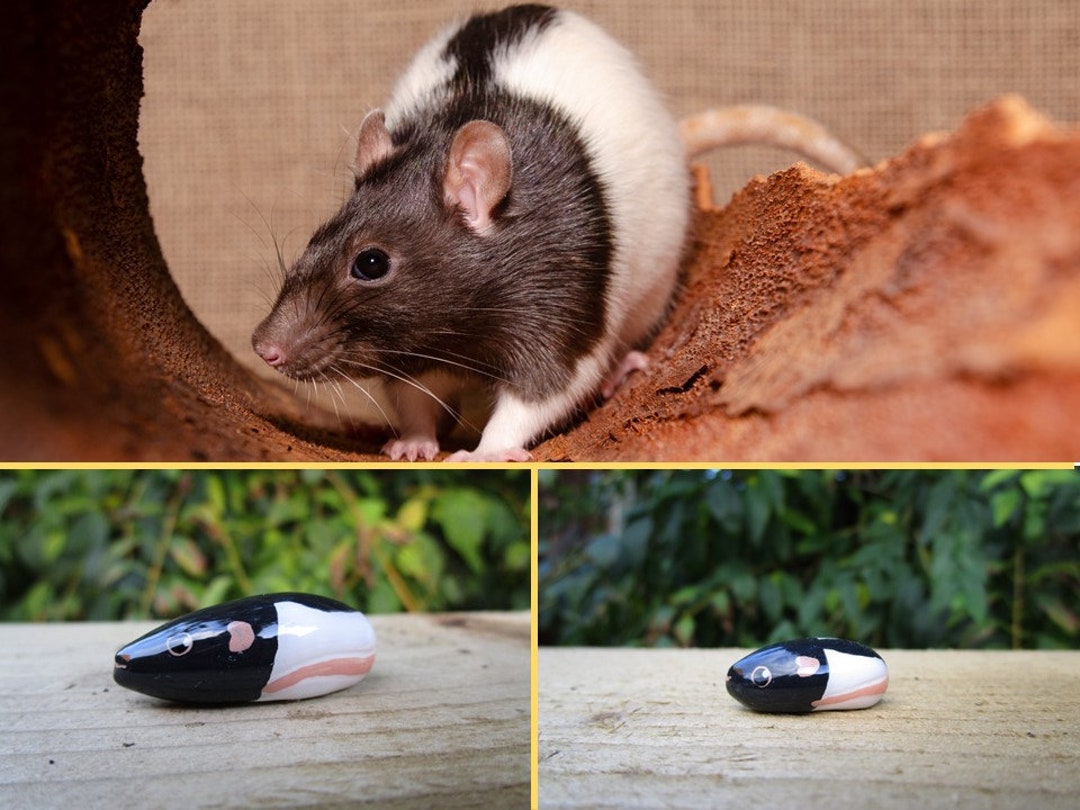 Custom Pet Rat Ornament/figurine/ Gift for Rat Lover/pet Rat Memorial ...
