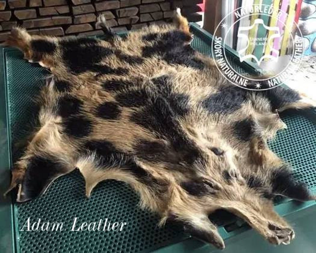 African Animal Skins, Goat Skins, Wild Boar Skins and Others - Etsy