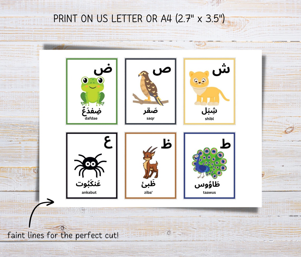 Arabic Alphabet, Educational Flash Cards, Learning Islamic Quran Tajwid ...