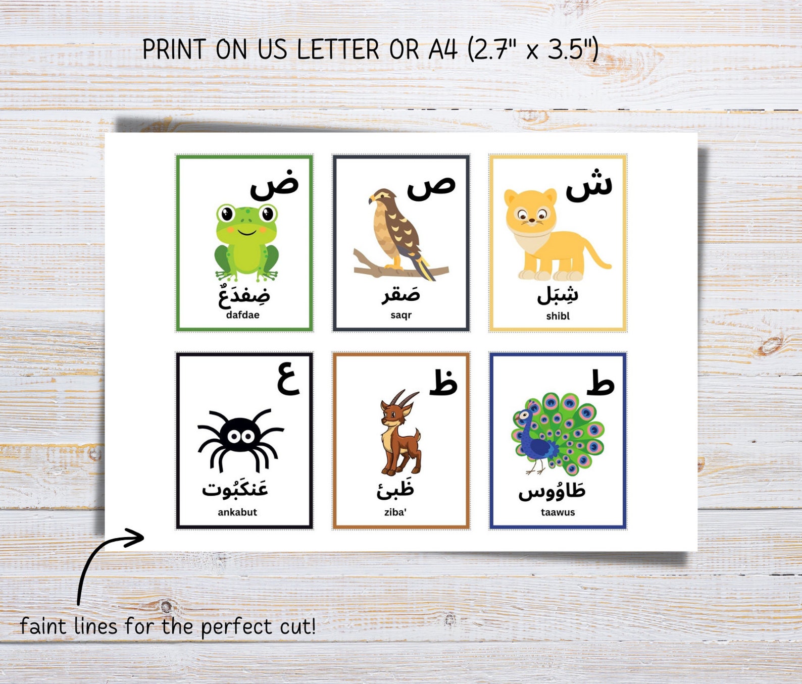 Arabic Alphabet, Educational Flash Cards, Learning Islamic Quran Tajwid ...