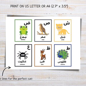 Arabic Alphabet, Educational Flash Cards, Learning Islamic Quran Tajwid ...