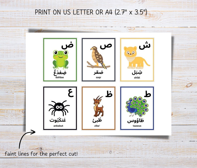 Arabic Alphabet, Educational Flash Cards, Learning Islamic Quran Tajwid ...