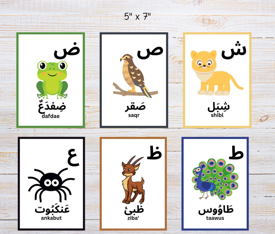 Arabic Alphabet, Educational Flash Cards, Learning Islamic Quran Tajwid ...