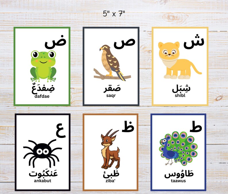 Arabic Alphabet, Educational Flash Cards, Learning Islamic Quran Tajwid ...