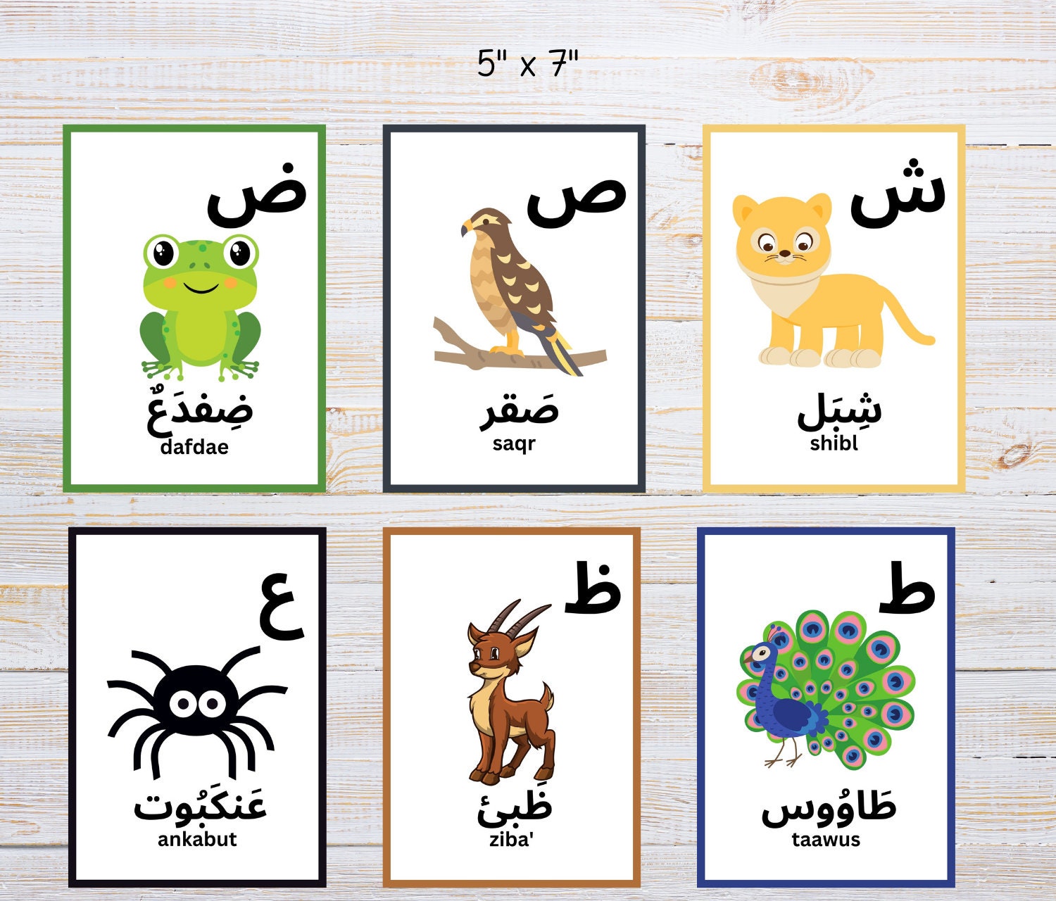Arabic Alphabet, Educational Flash Cards, Learning Islamic Quran Tajwid ...