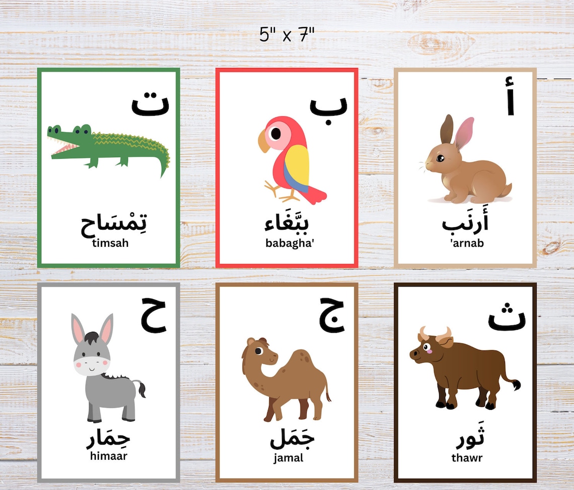 Arabic Alphabet, Educational Flash Cards, Learning Islamic Quran Tajwid ...