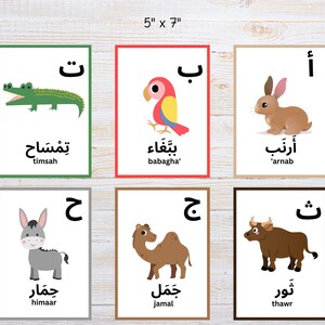 Arabic Alphabet, Educational Flash Cards, Learning Islamic Quran Tajwid ...